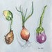 Vegetables - Ink and Watercolor Illustration - Etsy