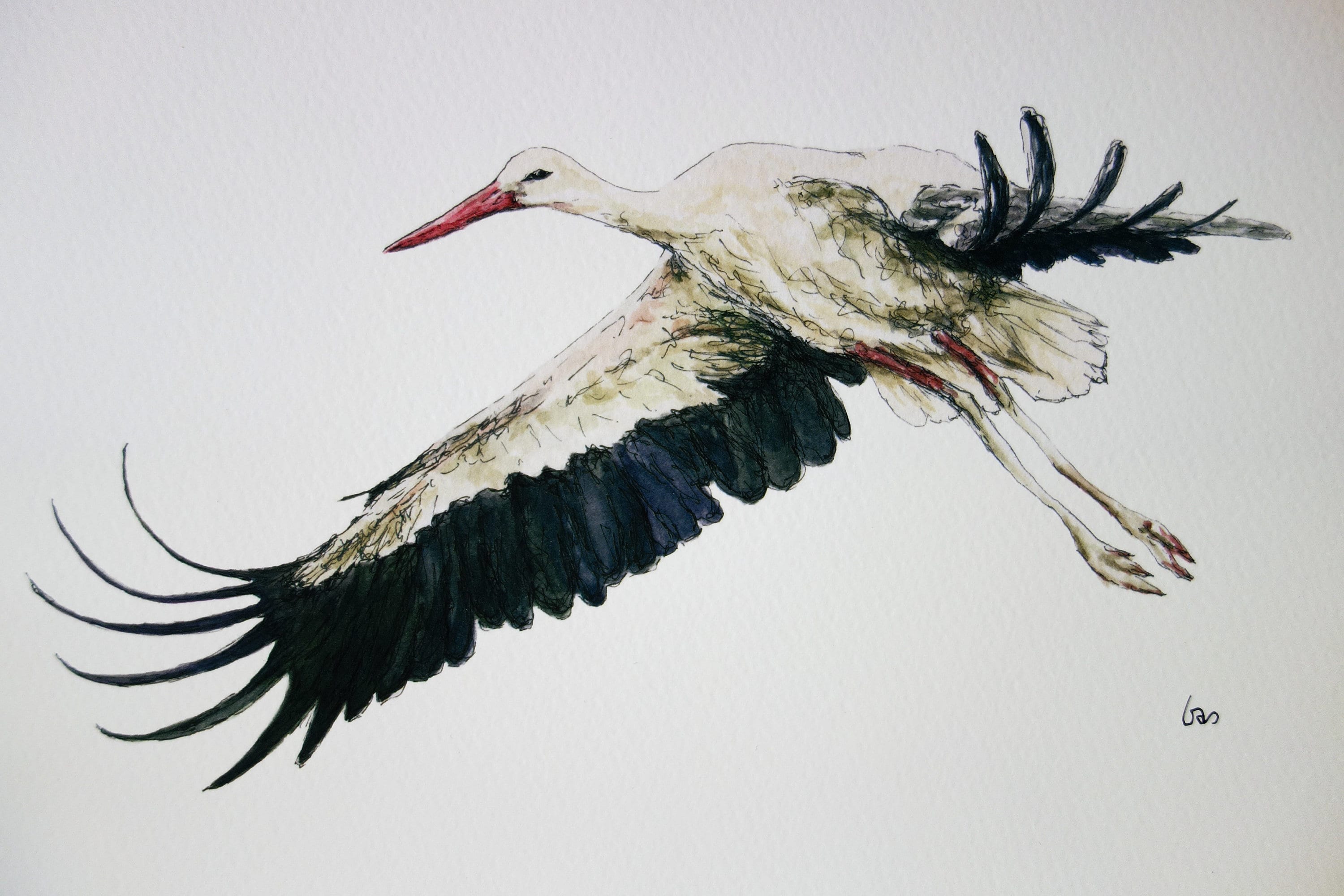 Stork signed giclée print of an original illustration in ink - Etsy 日本