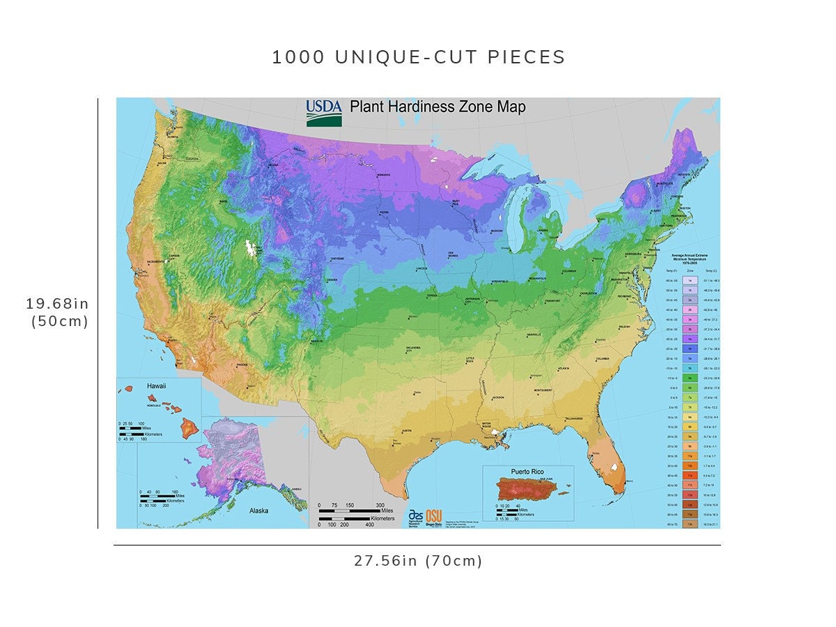 USDA Plant Hardiness Zone Map United States Average Annual - Etsy