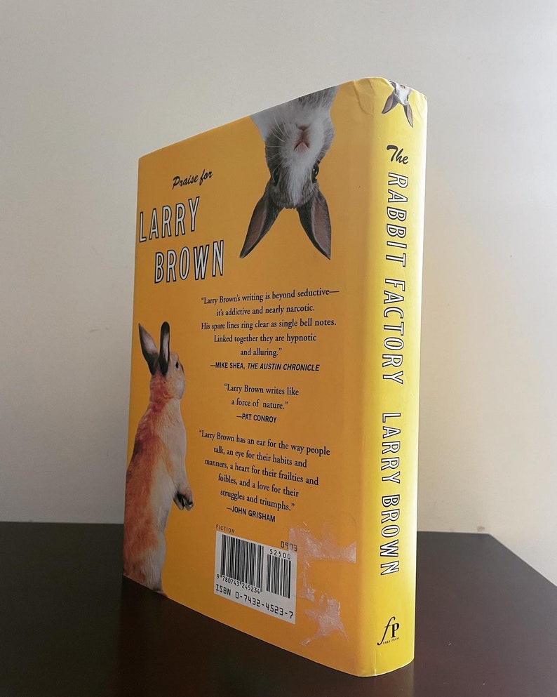 Bunny Folded Book Art Rabbit Easter Morning Cottontail Basket Gift Pet ...