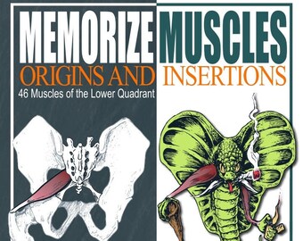 coachcastlescorner - Etsy