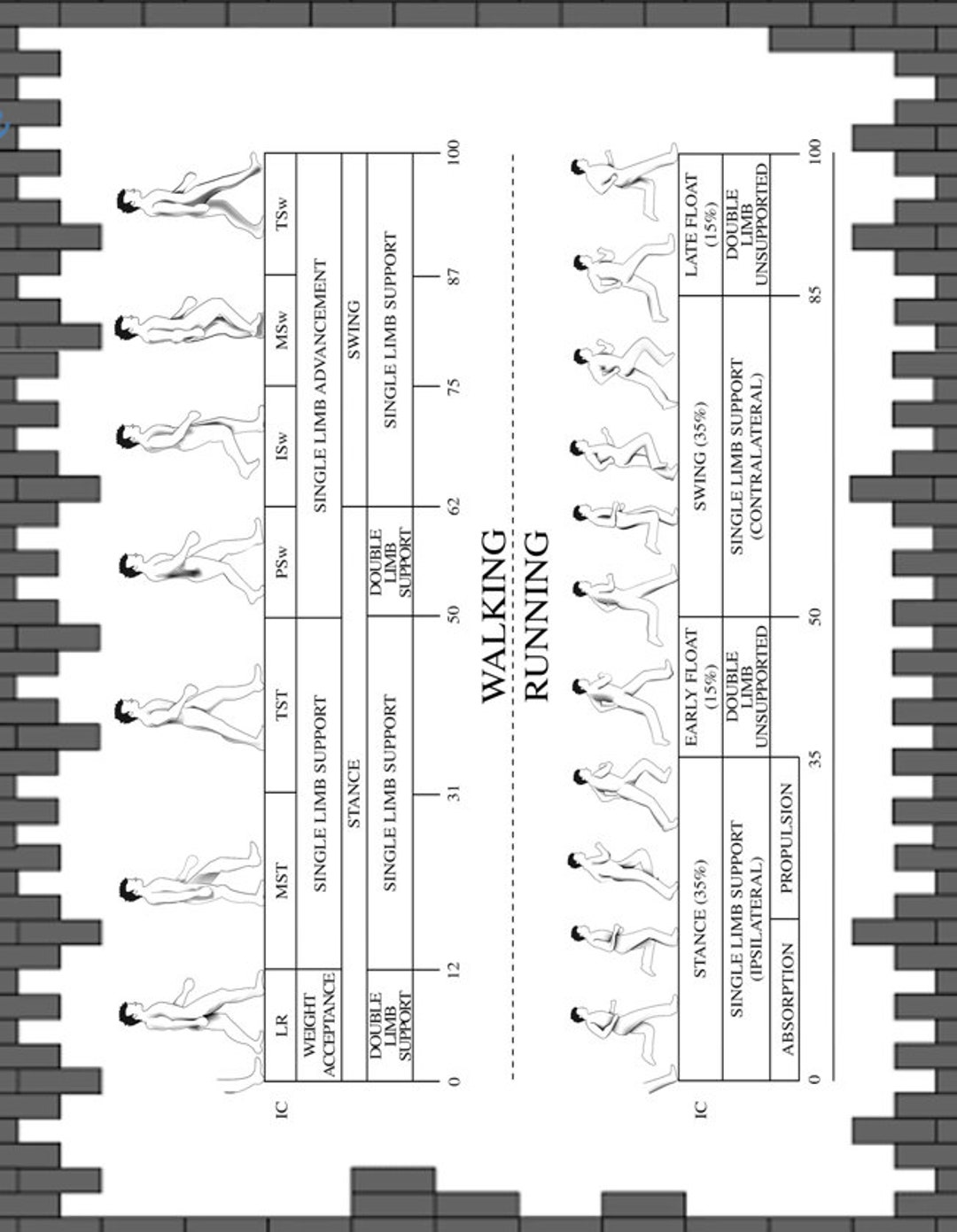 Biomechanics of Running and All the Rest - Etsy