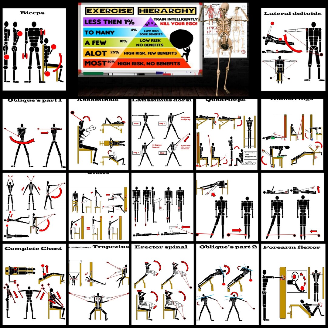 The brig 20 adaptive flashcards - Etsy.de