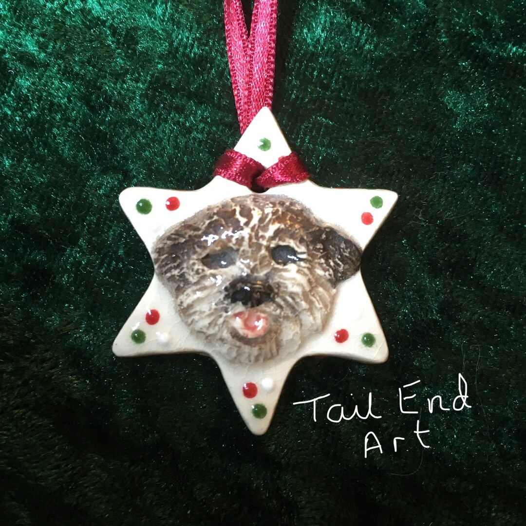 Lagotto Romagnolo Mini Star Christmas Decoration Light & Dark Brown ...