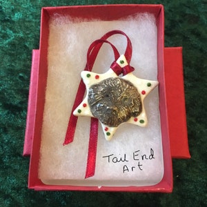 Lagotto Romagnolo Mini Star Christmas Decoration Dark Brown - Etsy