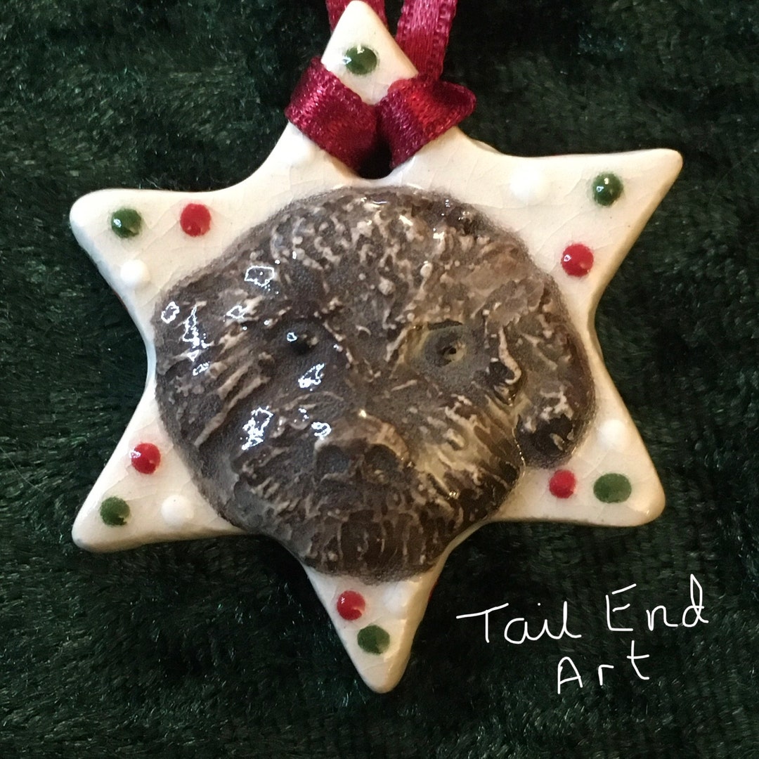Lagotto Romagnolo Mini Star Christmas Decoration Dark Brown - Etsy