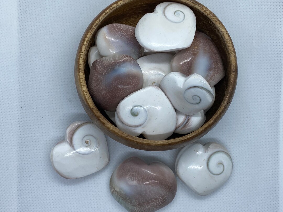 Shiva Shell / Heart Shape Shiva Shell / Shiva Eye Shell Heart Carving ...