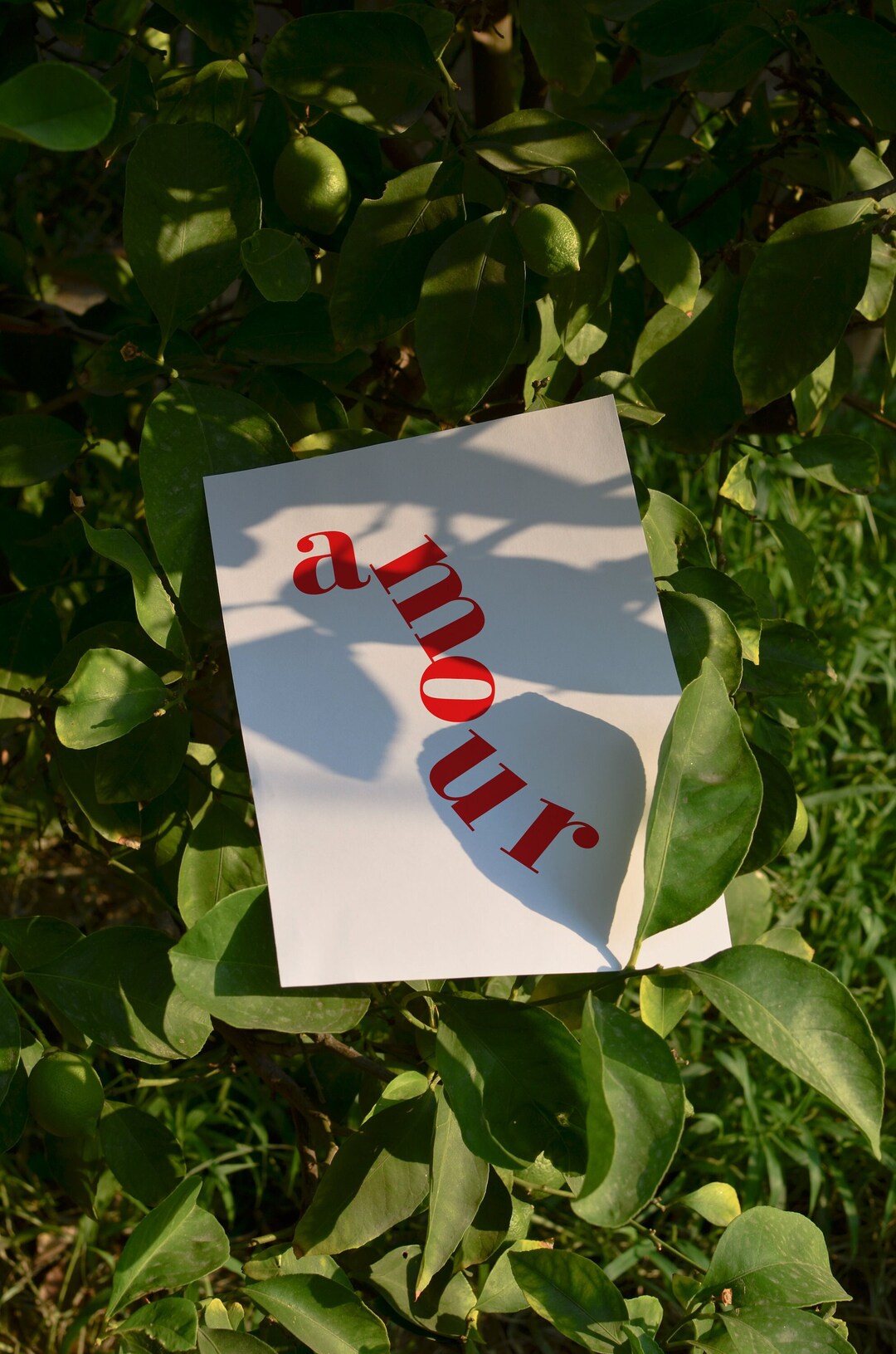 Amour Minimalist Typography Printable Art Modern Aesthetic Wall Decor ...