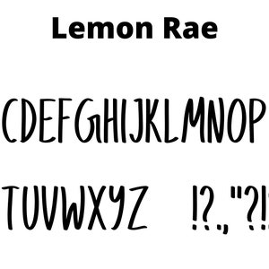 Rae Dunn Font Bundle Fashion Digital Long Cursive Font, Swirly Font ...