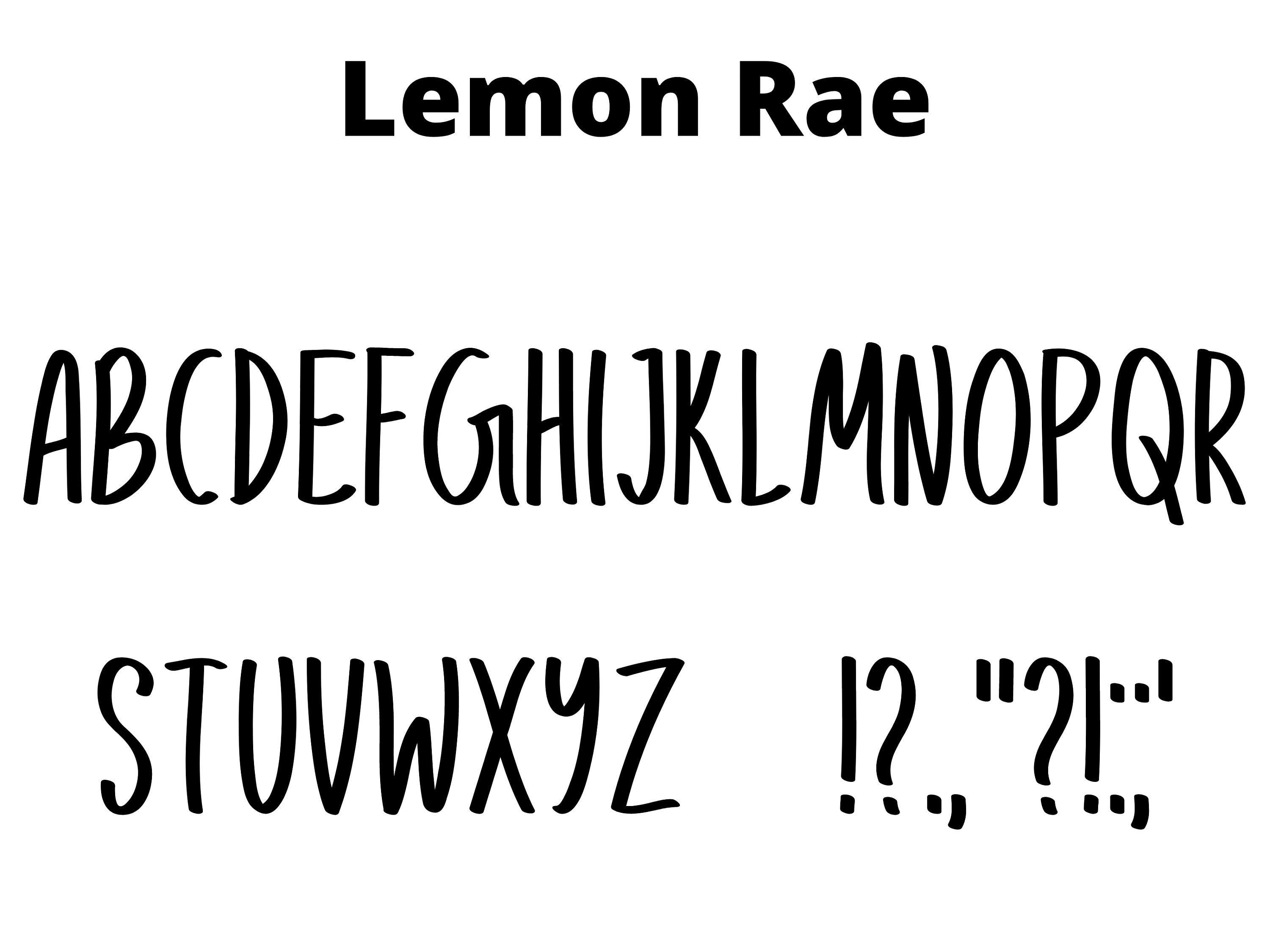 Rae Dunn Font Bundle Fashion Digital Long Cursive Font, Swirly Font ...