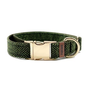 Green Chevron Dog Elite Bundle - Custom Dog Collar, Leash and Harness ...