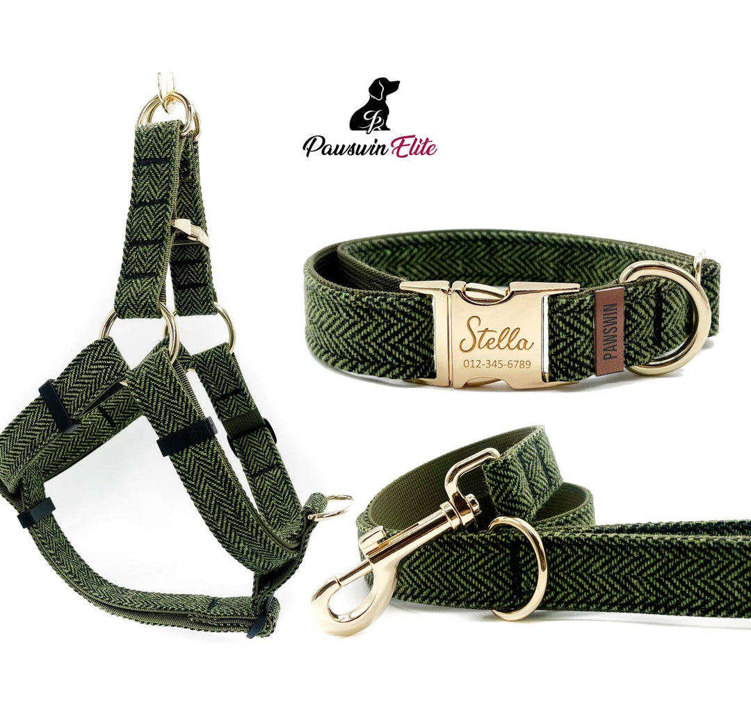 Green Chevron Dog Elite Bundle - Custom Dog Collar, Leash and Harness ...