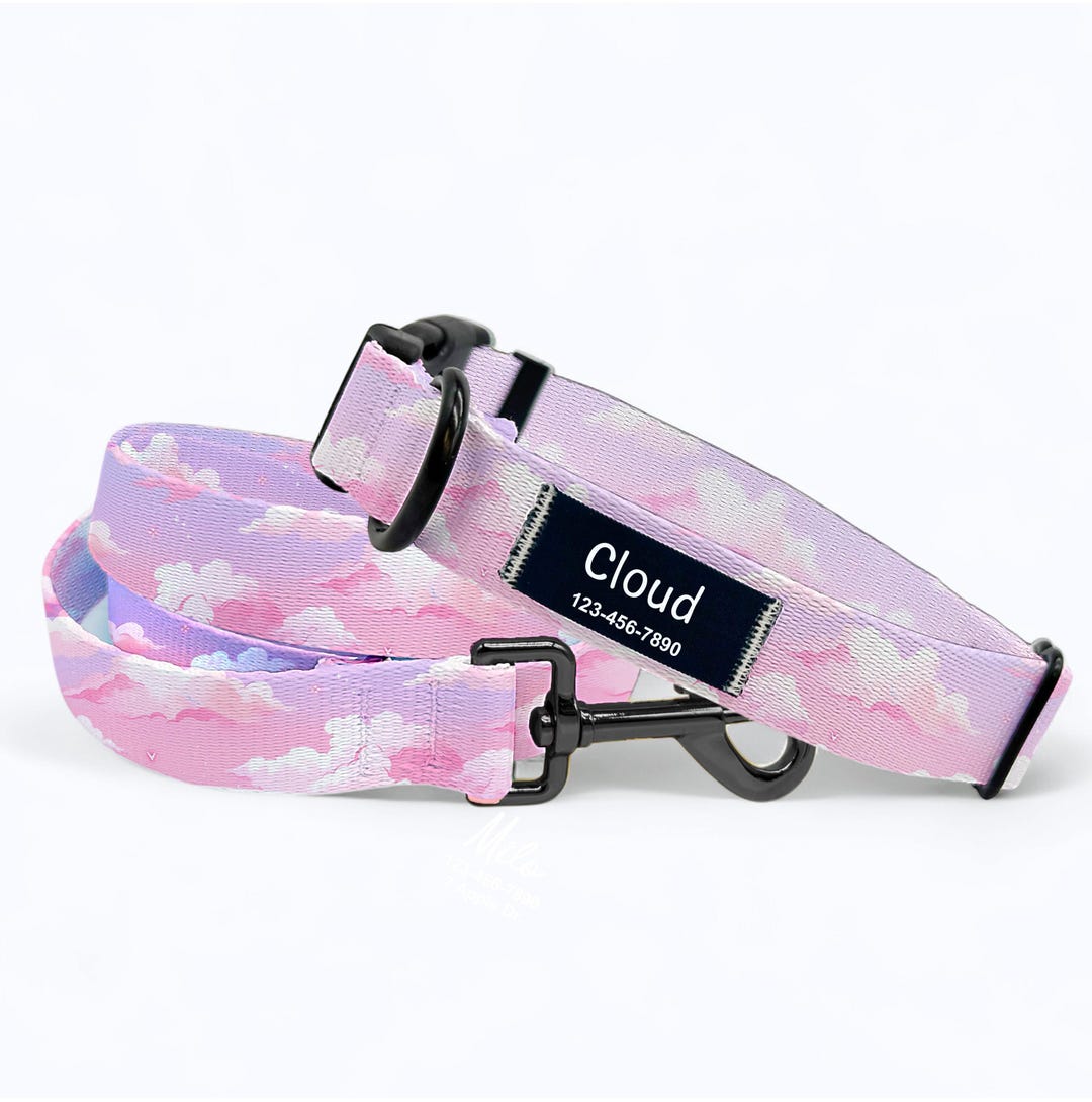 Personalized Dog Collar and Leash Set: Purple Sky Nylon With Custom ...