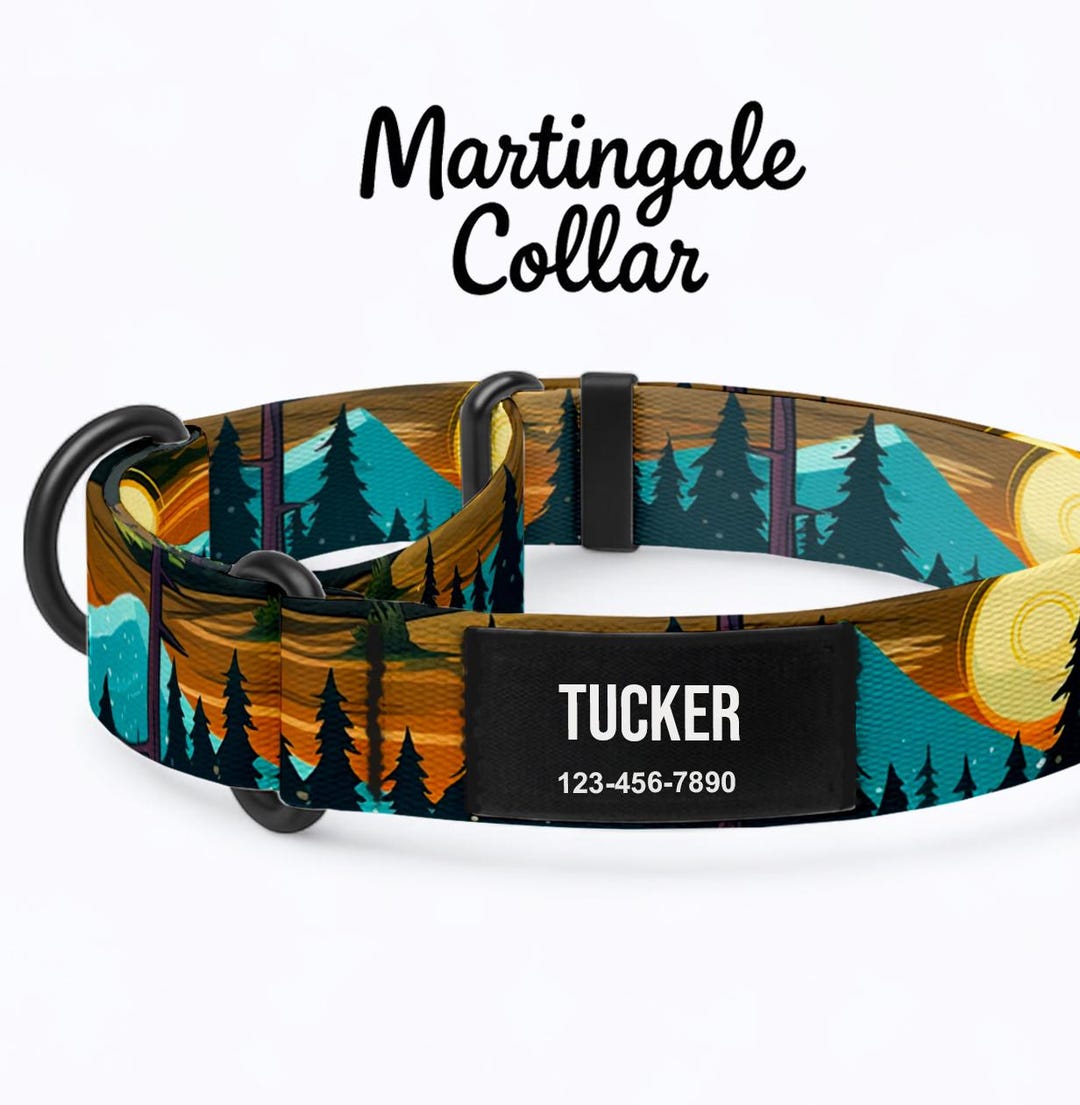 Sunset Camp Martingale Nylon Dog Collar: Personalized No-slip Training ...