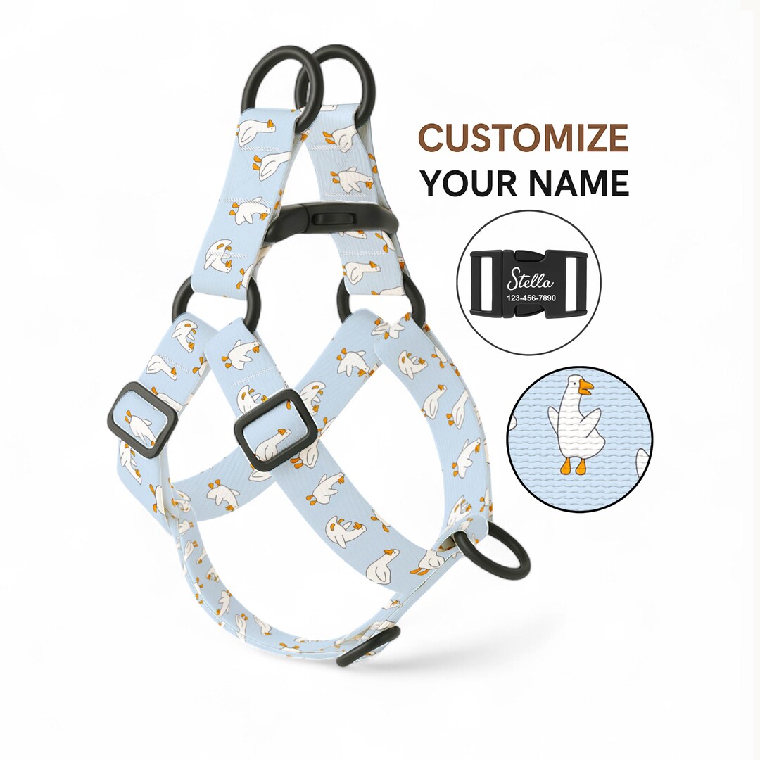 Personalized Nylon Dog Harness & Collar Set: Laser Engraved Buckle ...