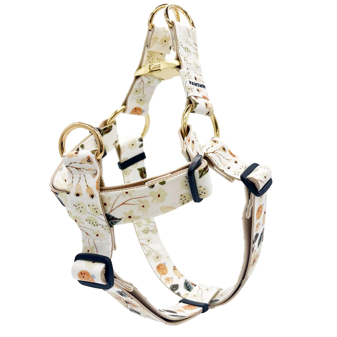 Personalized Floral Dog Harness: Handmade Step-in, Secure Fit, Custom ...