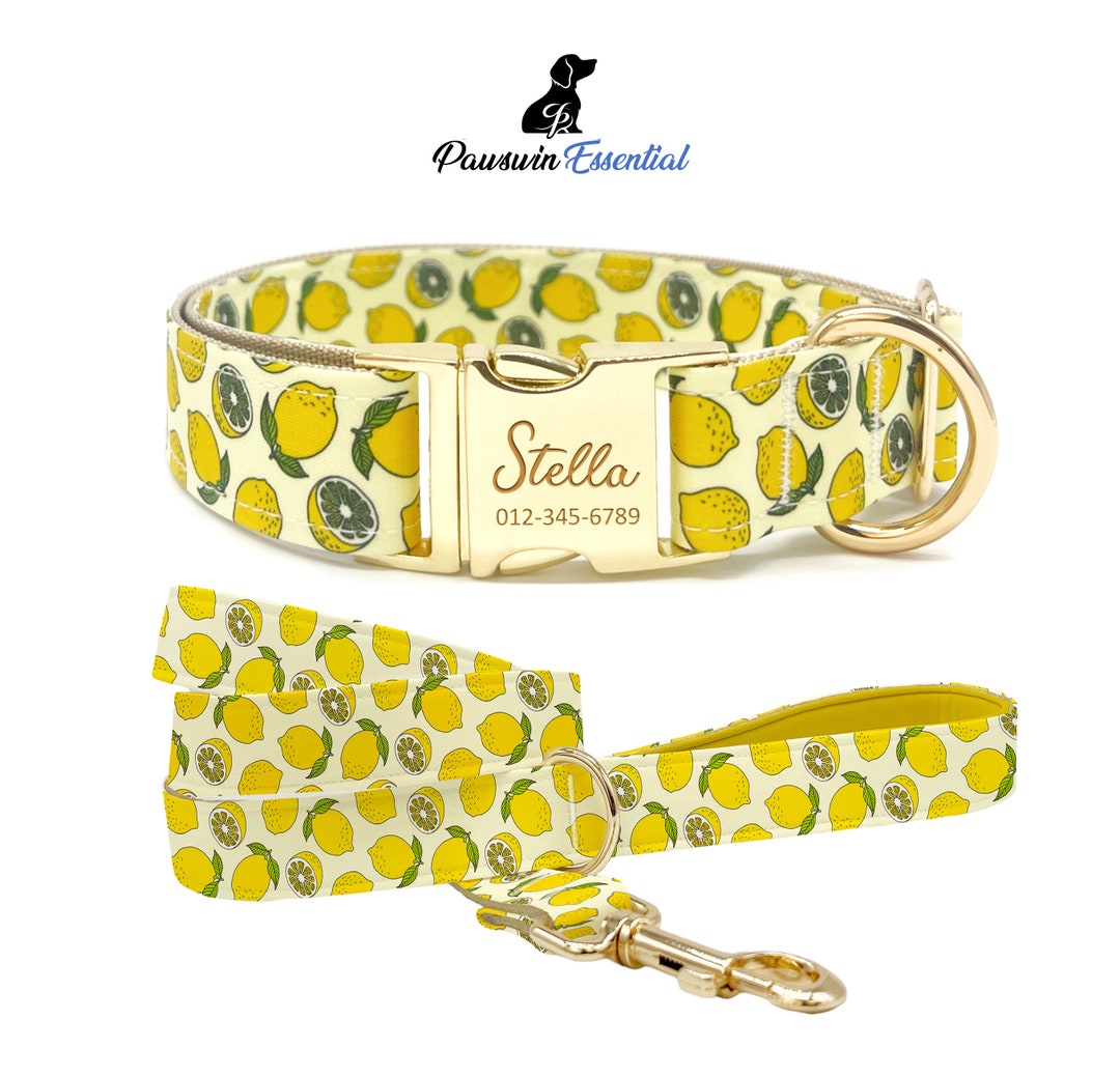 Lemon Dog Essential Bundle - Custom Dog Collar and Leash - Personalized ...