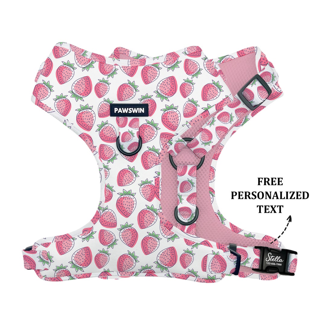 Personalized Dog Harness 100% Handmade Harness, Small to Large Dogs ...