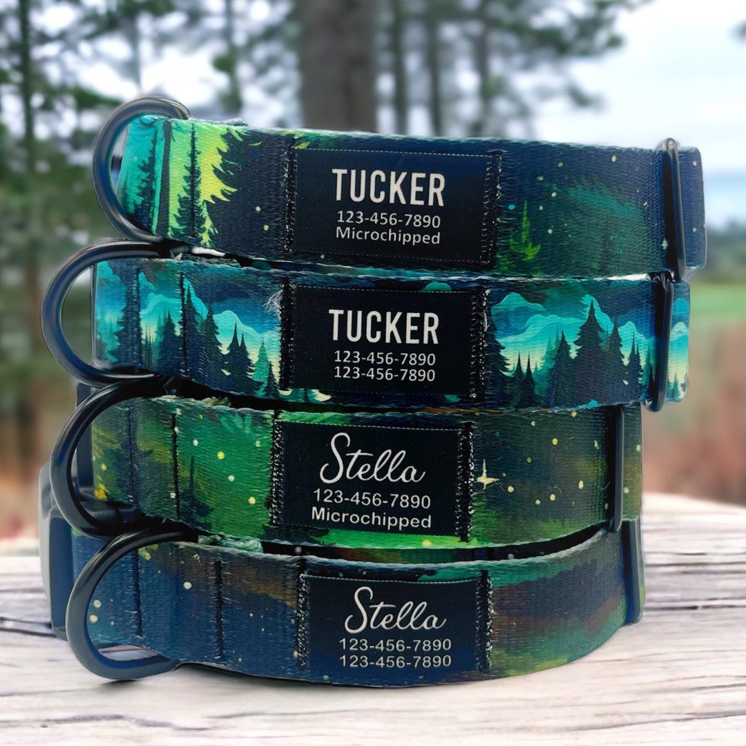 Personalized Forest Green Nylon Dog Collar: Custom Fabric Name Patch ID ...