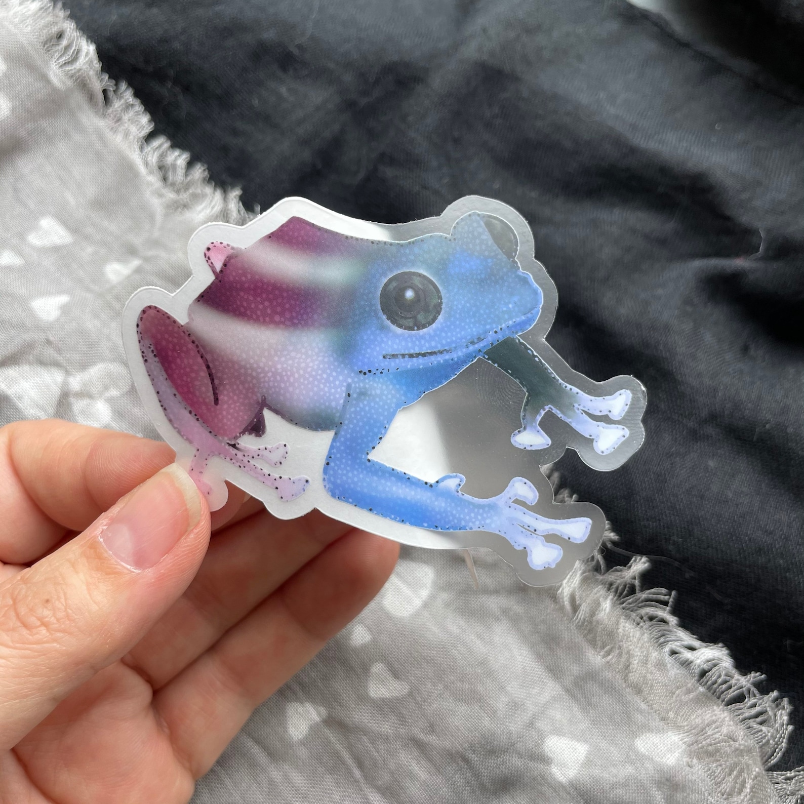 Coqui Clear Sticker 3x3 Vinyl Sticker | Etsy