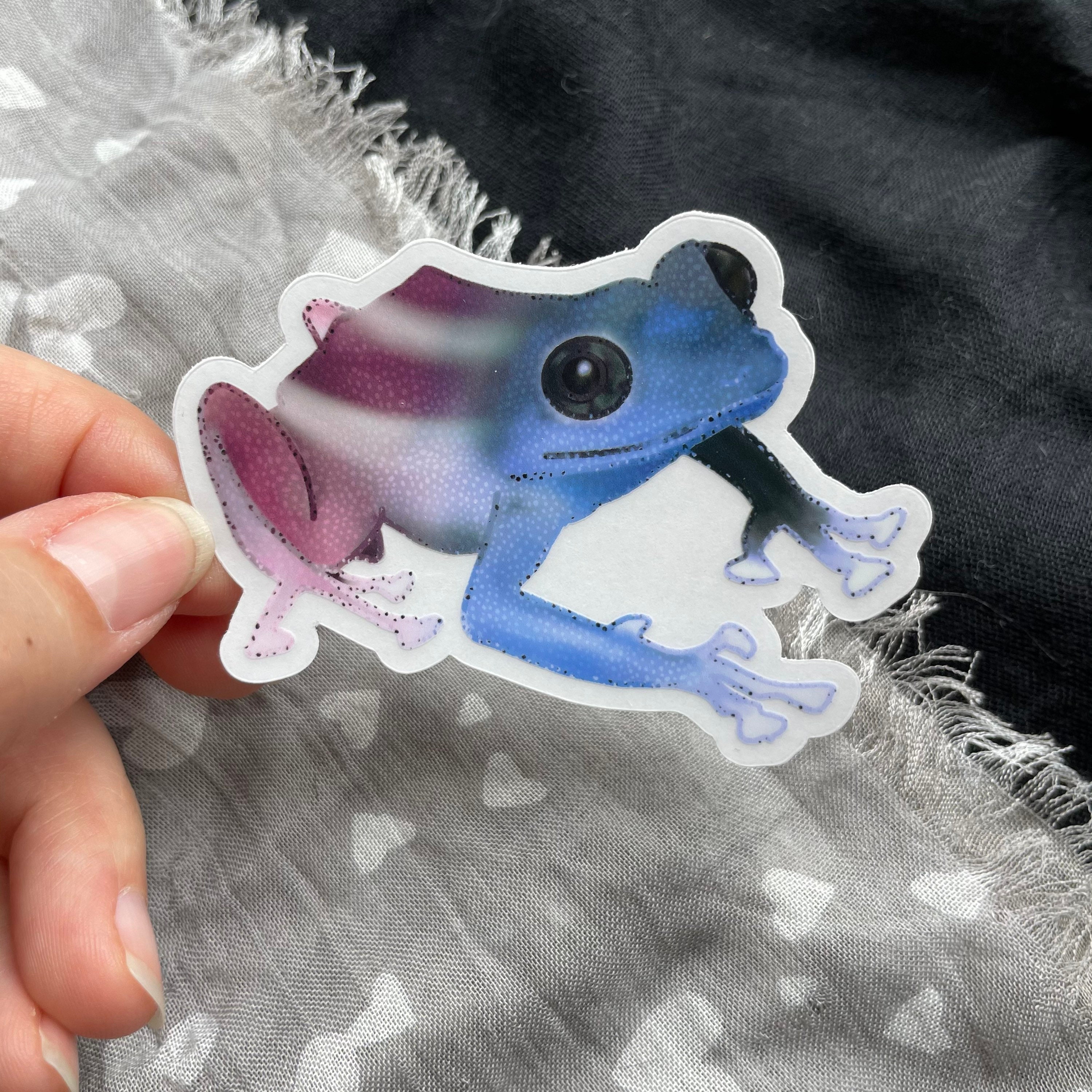 Coqui Clear Sticker 3x3 Vinyl Sticker - Etsy