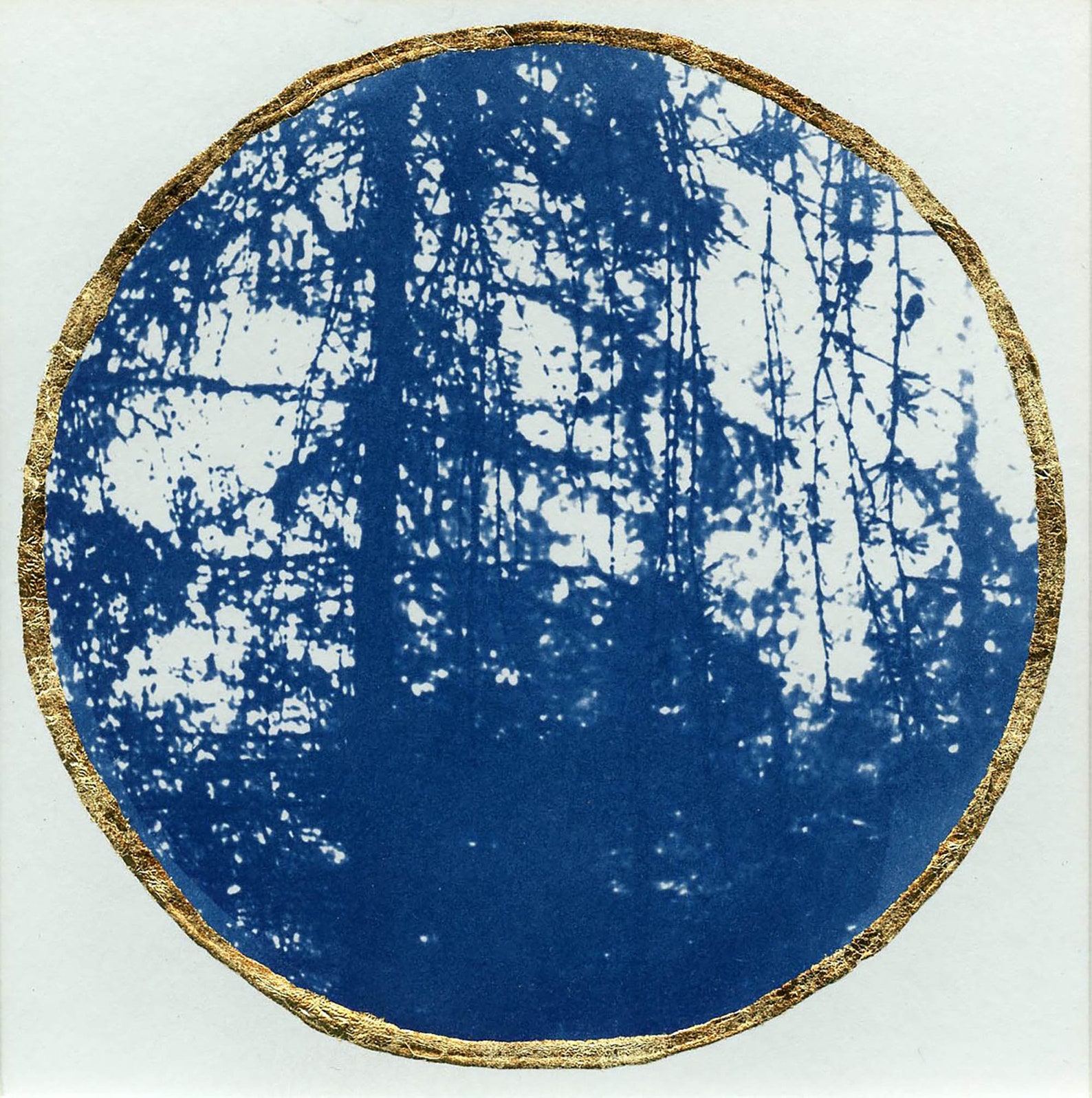 Original Woodland in a Gold Leaf Circle Cyanotype Print | Etsy