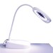 Triumph Arch LED Floor or Desk Lamp With Magnifier for Craft Light - Etsy