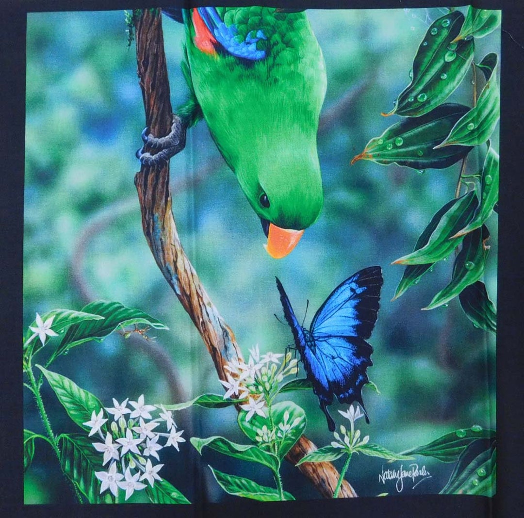 Patchwork Quilting Sewing Fabric Parrot Koala Butterfly Panel 40x110cm ...