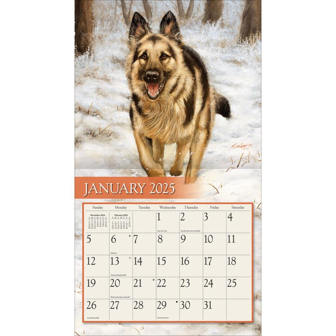 Lang 2025 Calendar Love of Dogs Calender Fits Wall Frame - Etsy