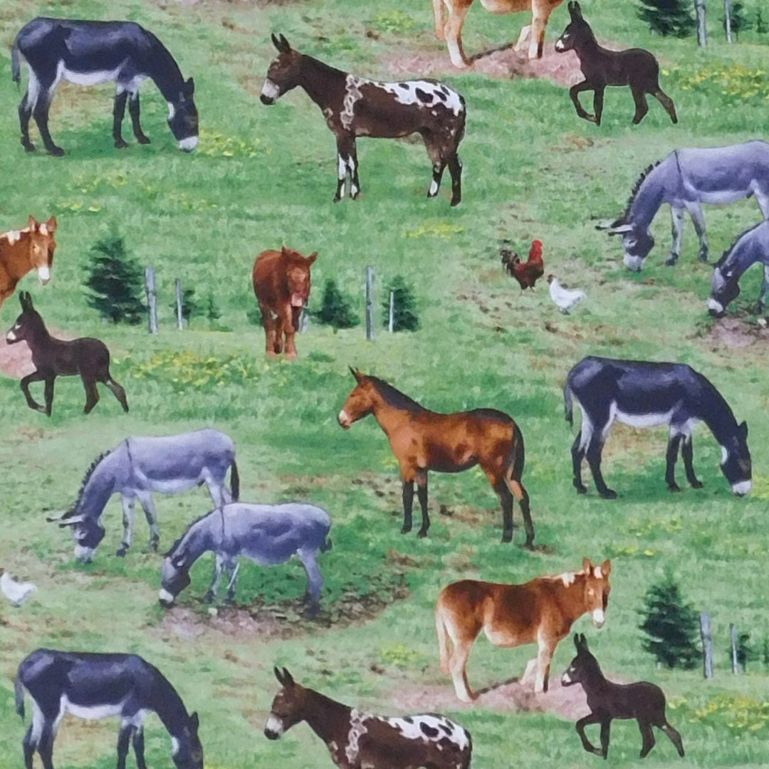 Patchwork Quilting Sewing Fabric Farm Donkey Allover 50x55cm FQ - Etsy