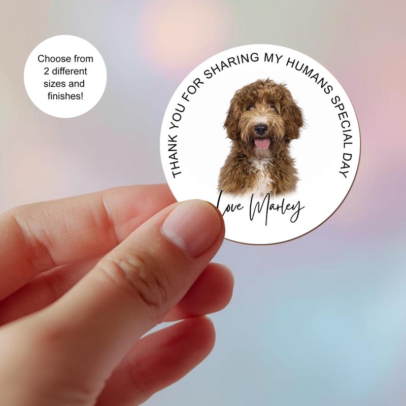 Dog Stickers - Etsy UK