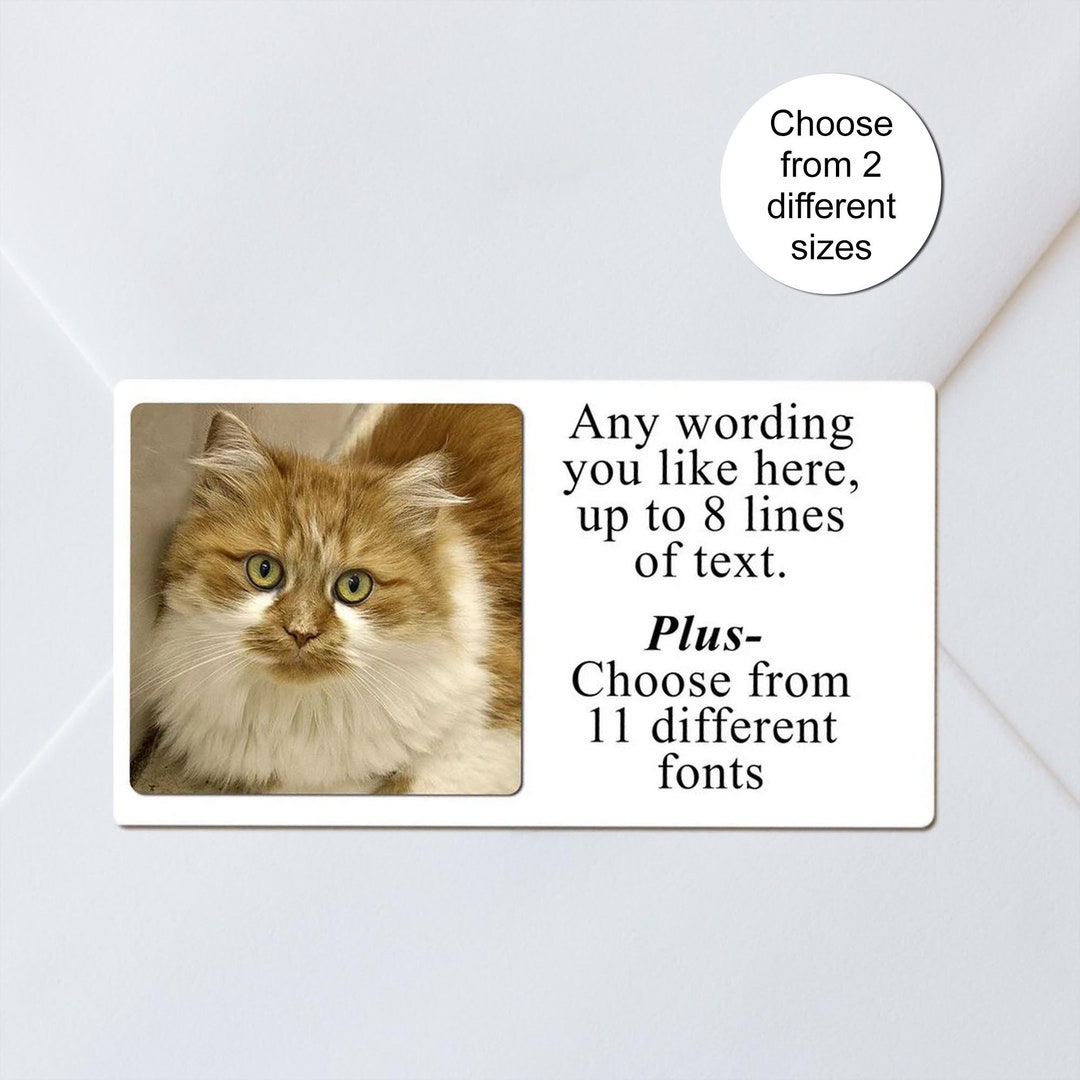 Pet Personalised Photo Labels | Your Own Cat Custom Picture Stickers ...