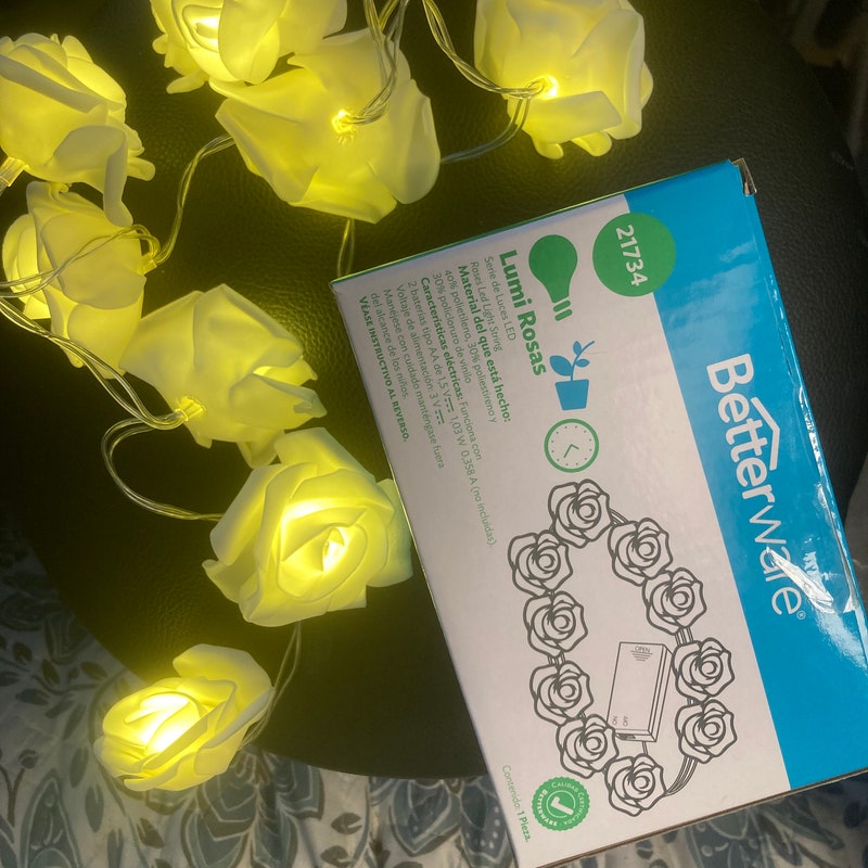 Rose String Lights - Etsy