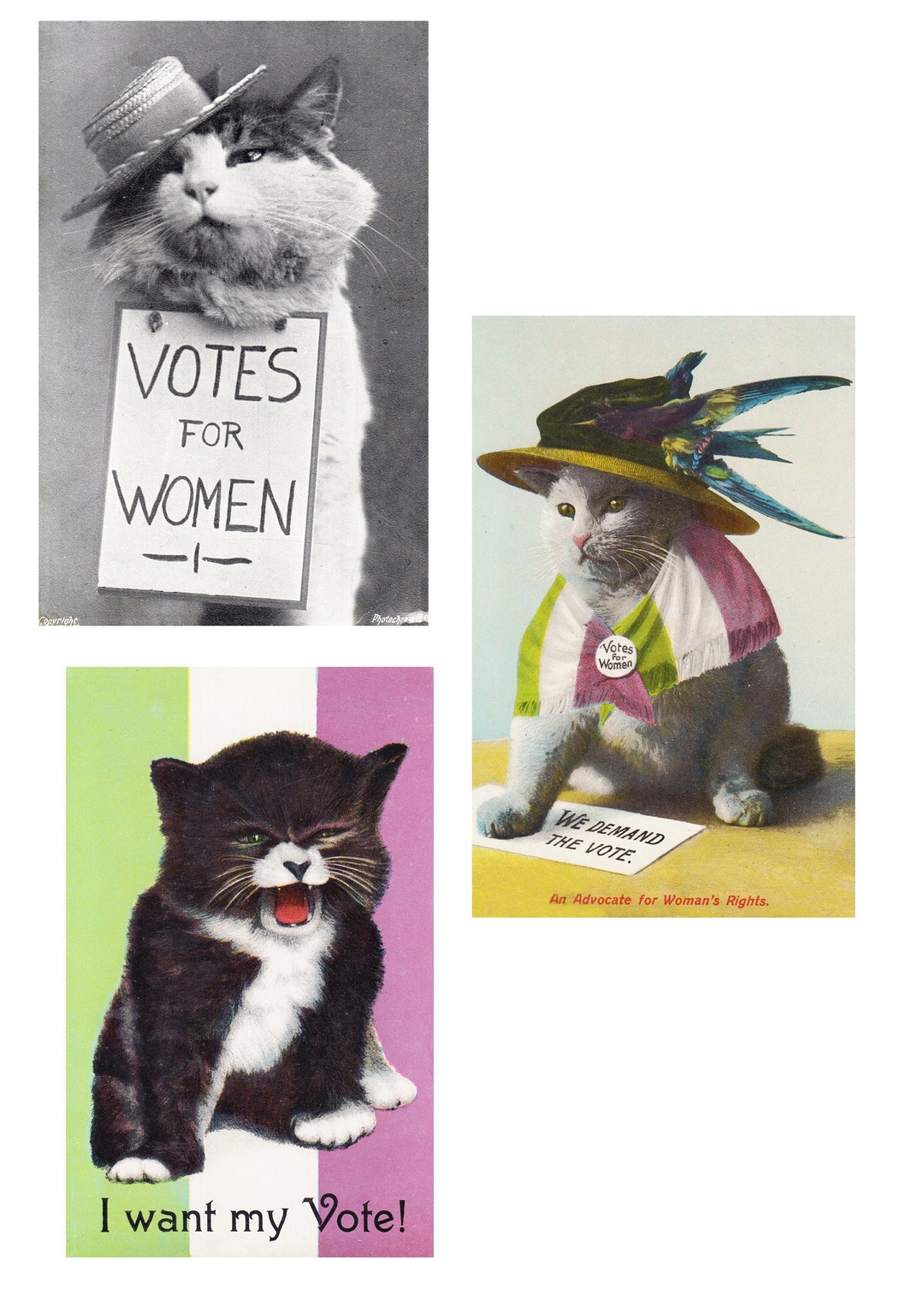 Set of Three Replicas of Original Suffragette Postcards - CATS - Etsy