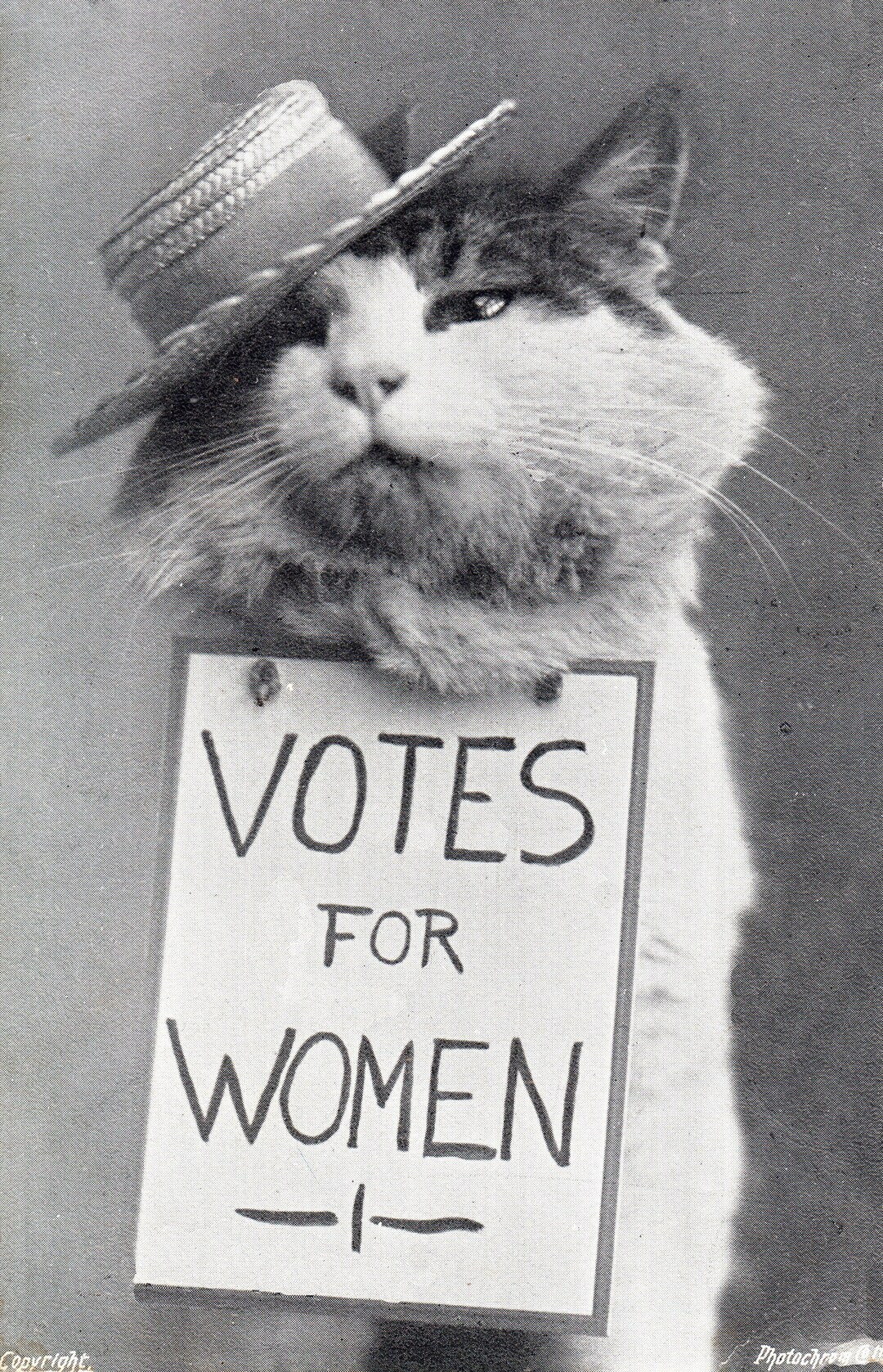 Reproduction of Suffragette Postcard VOTES FOR WOMEN - Etsy