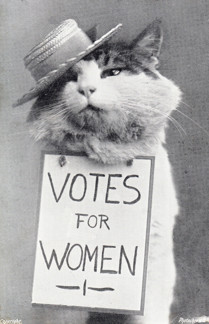 Reproduction of Suffragette Postcard VOTES FOR WOMEN - Etsy