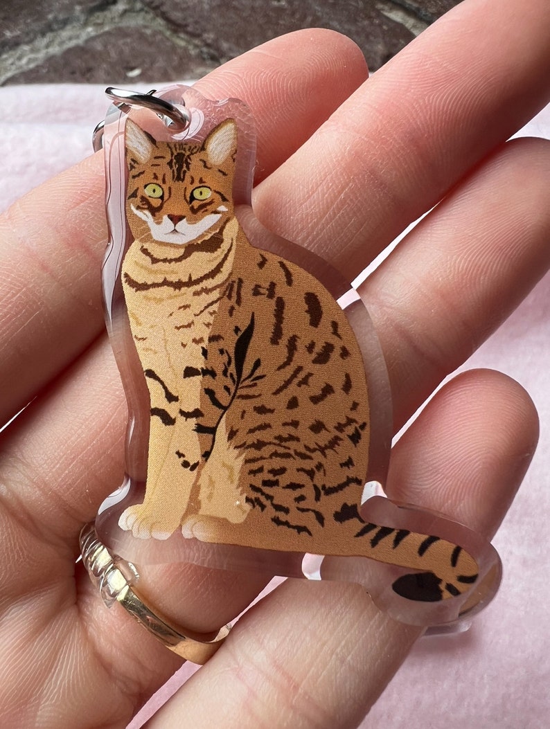 Bengal Keychain, Acrylic Keychain, Cat Keychain, Original Artwork ...