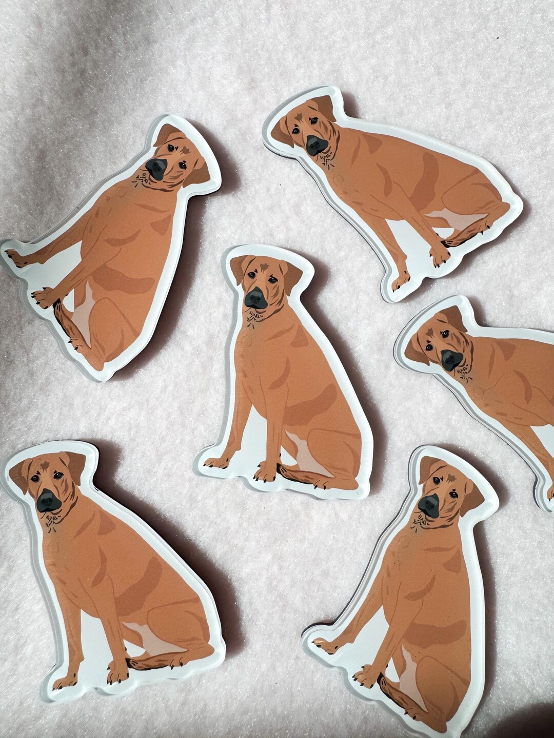 Mountain Cur Magnet, Rhodesian Ridgeback Magnet, Acrylic Magnet, Dog ...