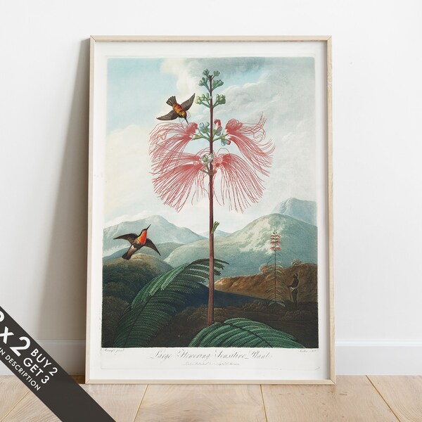 British Colonial - Etsy