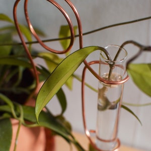 Plant Propagation Side Car Plant Buddy Test Tube Prop Station - Etsy