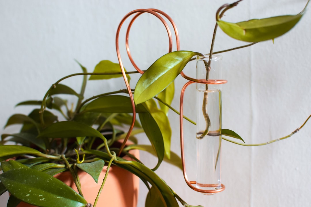 Plant Propagation Side Car Plant Buddy Test Tube Prop Station - Etsy