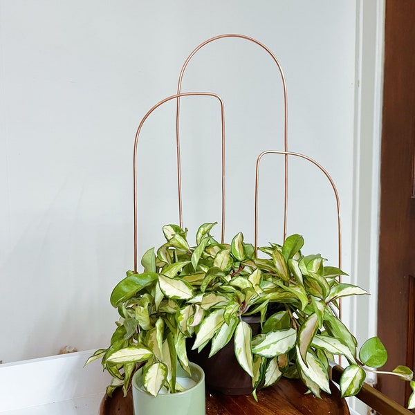 Geometric Trellis - Etsy