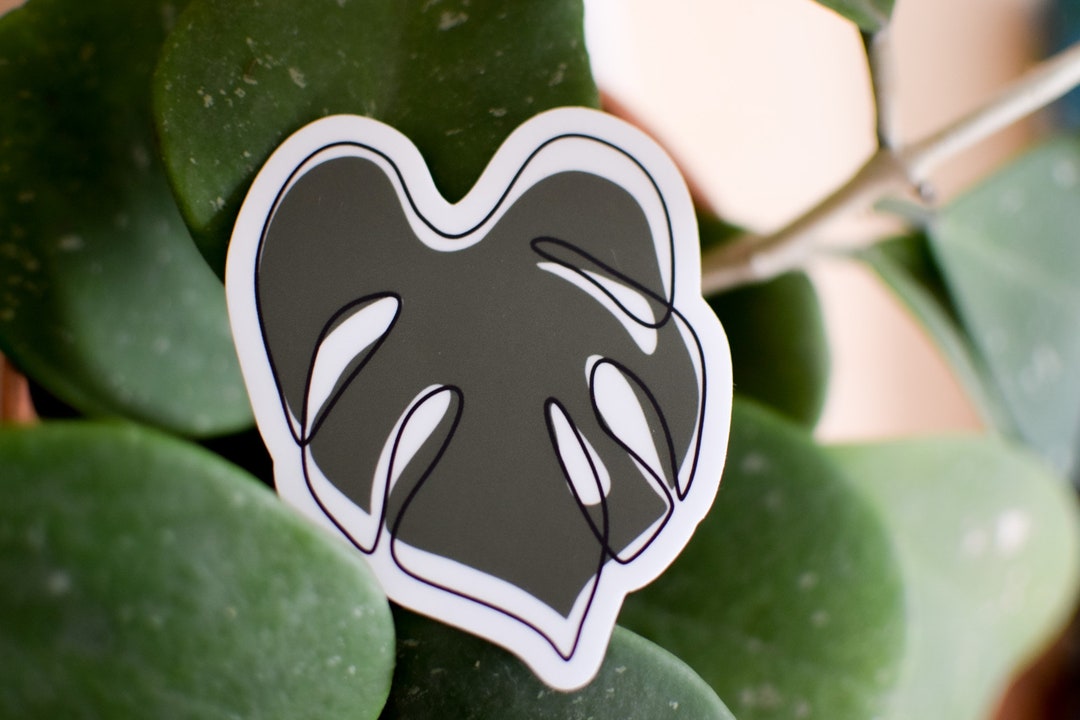 Monstera Plant | Plant Sticker | Monstera Deliciosa - Etsy