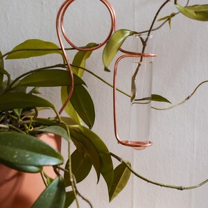 Plant Propagation Side Car Plant Buddy Test Tube Prop Station - Etsy