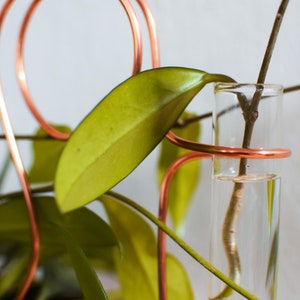 Plant Propagation Side Car Plant Buddy Test Tube Prop Station - Etsy