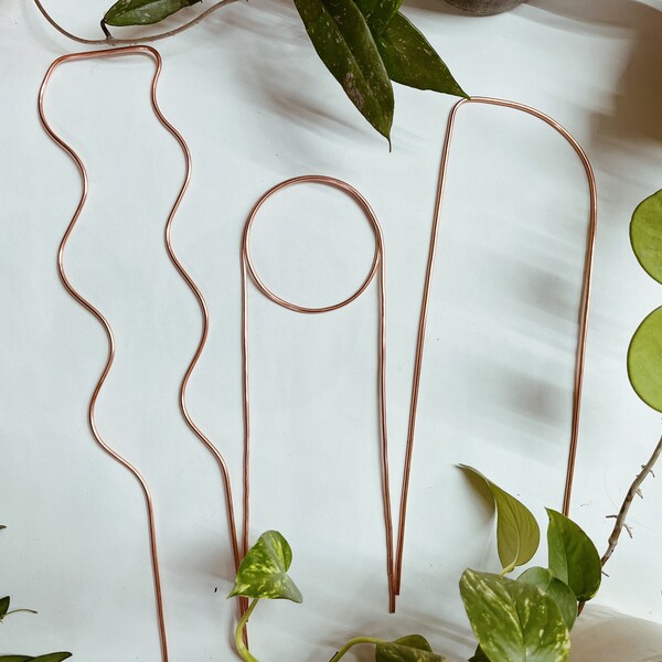 Large Plant Support Stake - Etsy