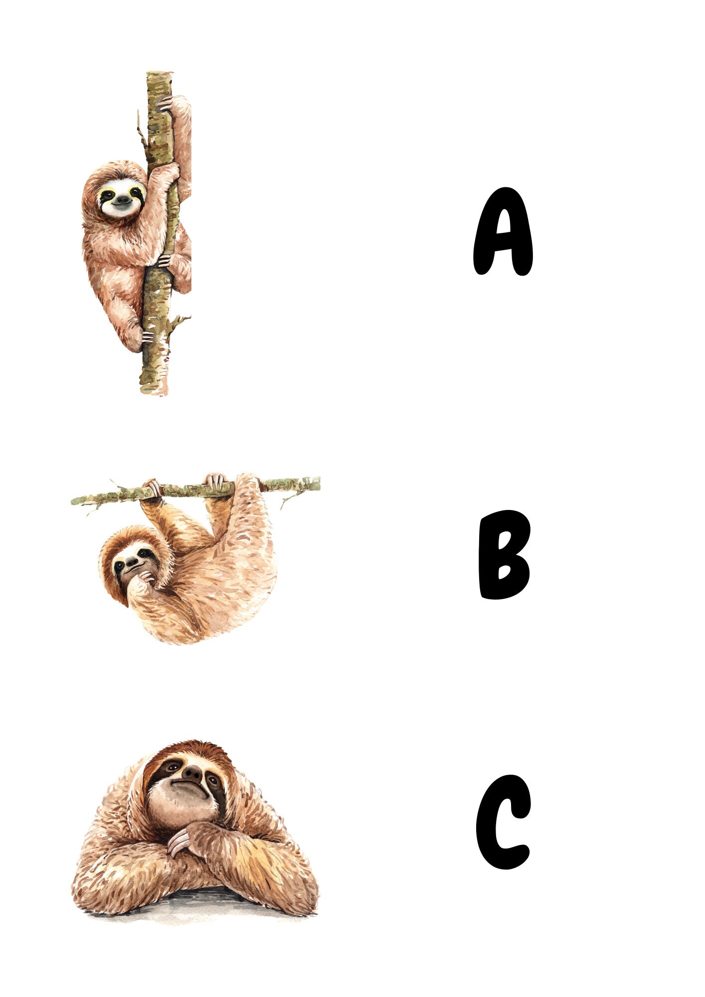 Sloth Prints Wall Decor Sloths Watercolour Sloths - Etsy