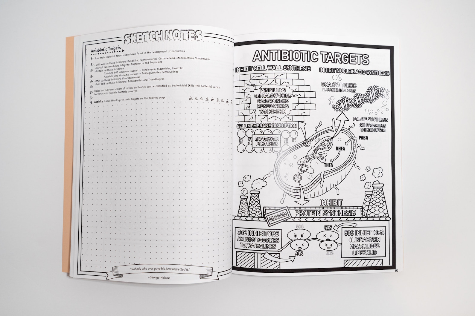 Antibiotics Pharmacology Coloring Book - Etsy