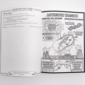 Antibiotics Pharmacology Coloring Book - Etsy