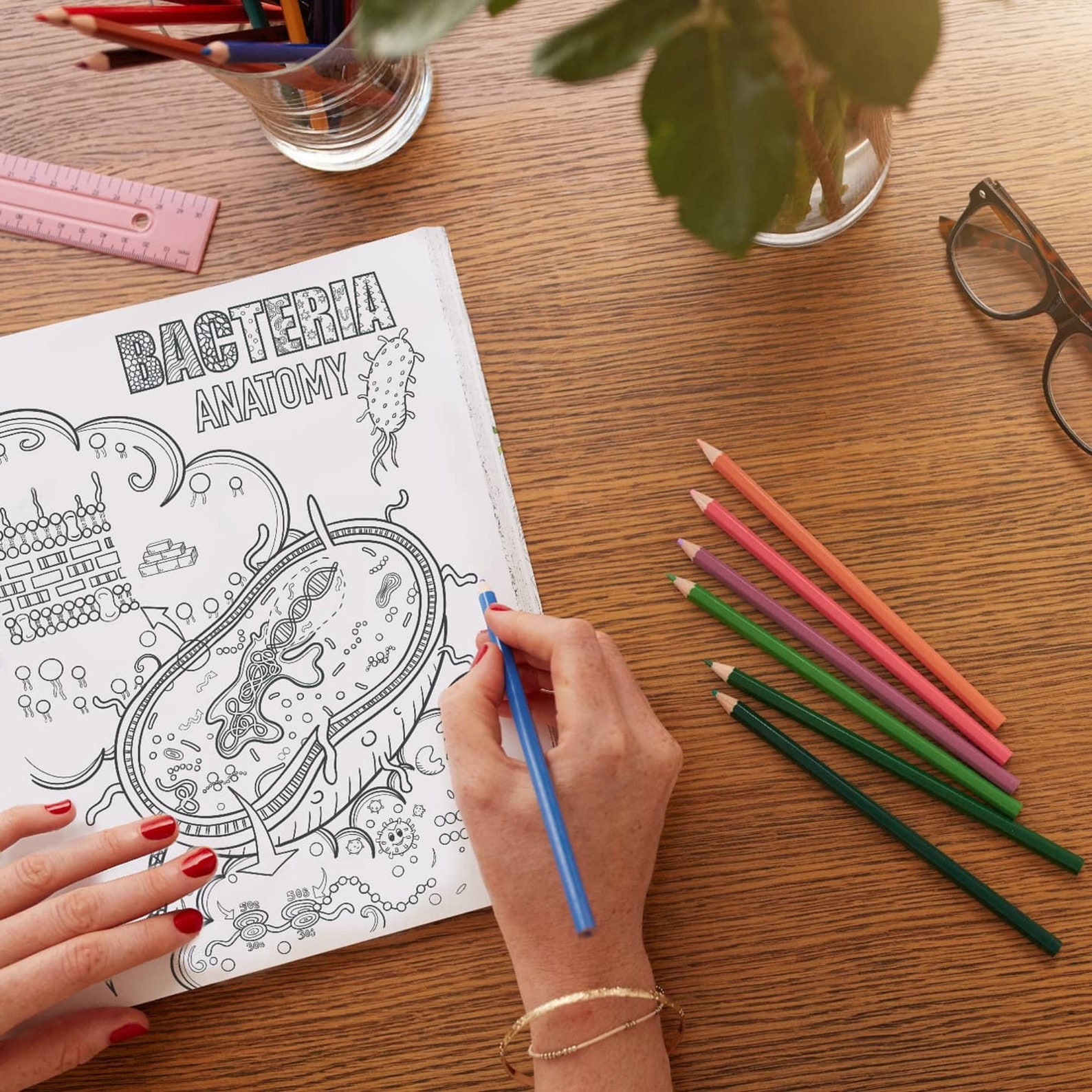 Antibiotics Pharmacology Coloring Book - Etsy